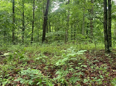 0 Kiser Rd Grayson Ky 41143 Zillow