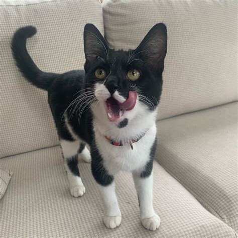 Kate Doherty Youtube