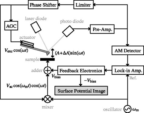 1 Block Diagram Of Dissipation Modulated Kelvin Probe Force Microscopy Download Scientific