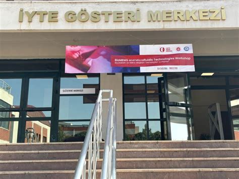 Biomems Microfluidics Orchestraproject Iztech Research Organonchip… Project Orchestra