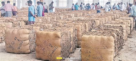 ముగిసిన పొగాకు కొనుగోళ్లు Toboco Sales