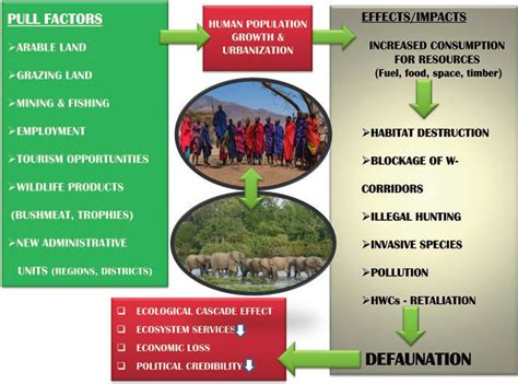 2 The Pull Factors And Effects Of Human Population Growth And Urbanization Download Scientific