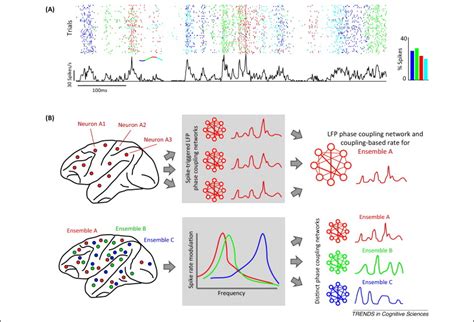 insights about population coding from joint analysis of spiking