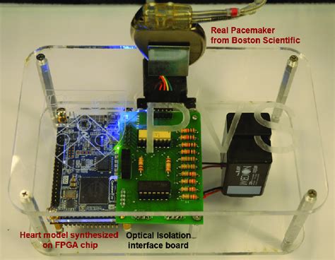 8 Heart On A Chip Testbed For Real Time Closed Loop Testing Of The