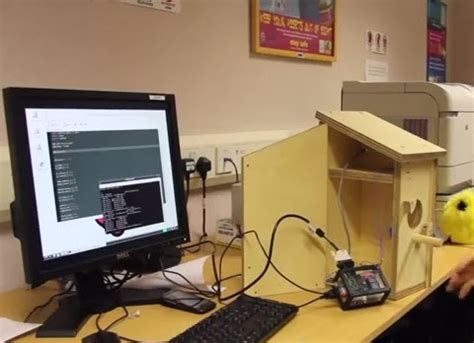 NestBoxTech Bird Box Cameras And The Raspberry Pi