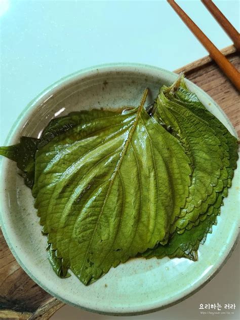 깻잎장아찌 간장깻잎절임 쉽고 간단한 간장 깻잎지