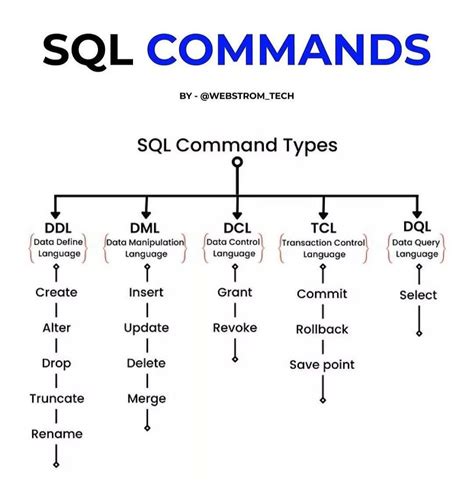 Sql Database Dataanalysis Datascience Datavisualization Developer Programmer Analytics