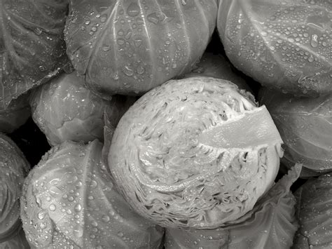 무료 이미지 물 검정색과 흰색 화이트 사진술 식품 생기게 하다 단색화 자료 닫다 코코넛 슈퍼마켓 양배추