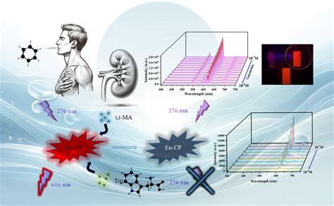 A Multifunctional Fluorescent Eu‐mof Probe Its Synthesis Structure