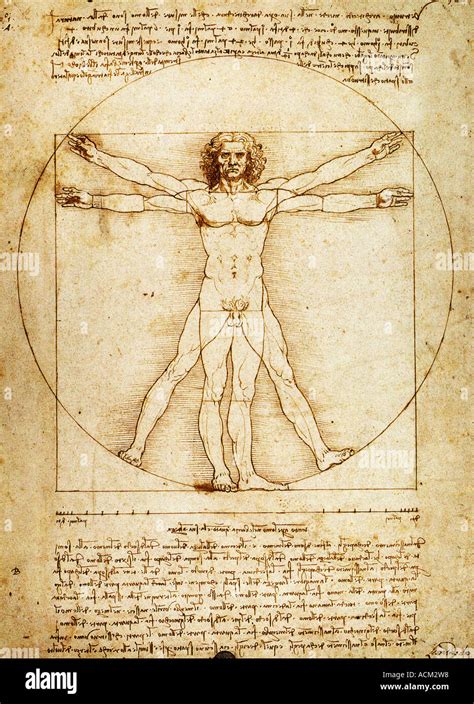 Did Leonardo Da Vinci Copy ‘vitruvian Man Ygnc