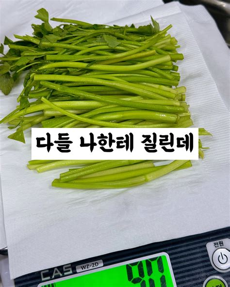 혜원 명절마다 7시간이라는 짧다면 짧은 시간동안 200분 가까이 손님을 받을 수 있는 비법은 바로 밀키트화예요 아침 9시부터 오픈 전까지 종일 당일 쓸 재료를