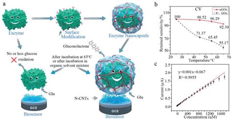 A Schematic Illustration Of Ngox‐based Biosensor For Glucose