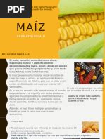 Alimentos Derivados Del Maíz Pdf Cocina Comidas Y Vino Salud Y Bienestar
