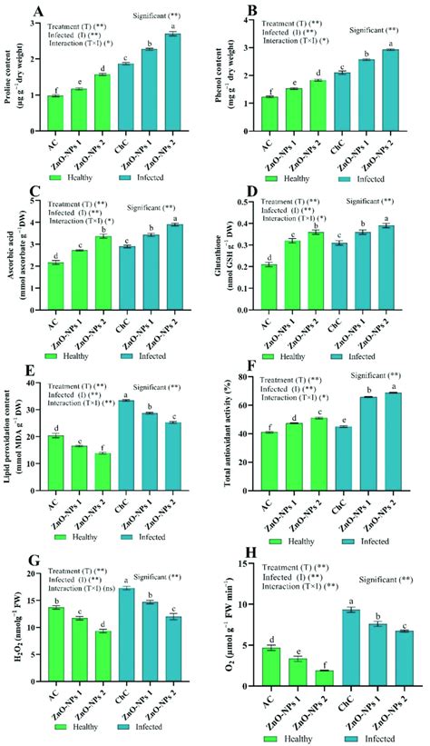 A H Effect Of Foliar Spray By Zno Nps1 50 Mg L And Zno Nps2 100 Download Scientific