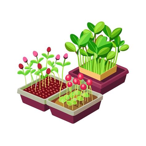 Houseplant In Pot Vector Illustration Concept Premium Vector