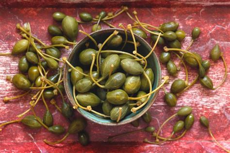 From Picking To Pickling How To Make Capers In 2025 Caper Berries
