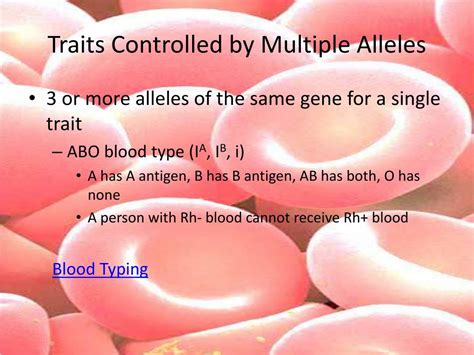 PPT Chromosomes And Inheritance PowerPoint Presentation Free Download ID