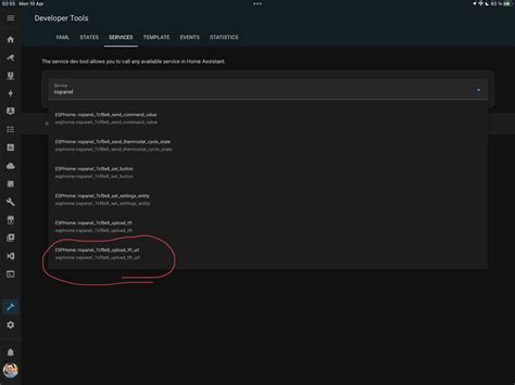 Installation Issue Esphome Flash · Issue 645 · Blackymasnspanelha