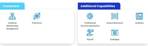 Oracle Netsuite Crm And Erp S3ncs