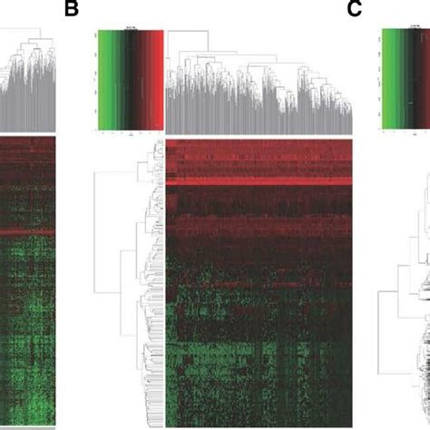 Heat Map Showing The Expression Profiles Of The A Lncrnas B Mirnas Download Scientific