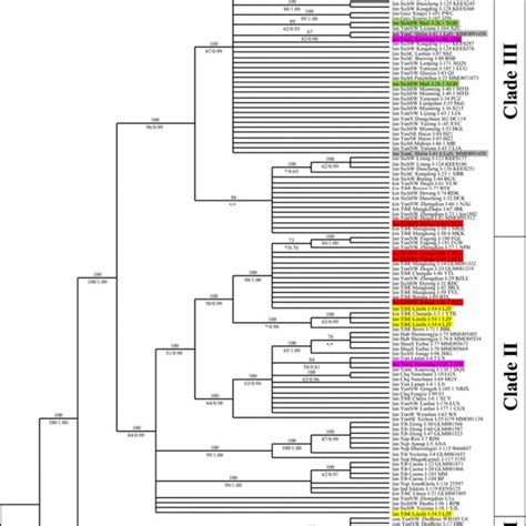 Maximum Parsimony Majority Rule Consensus Tree Of 82219 Most