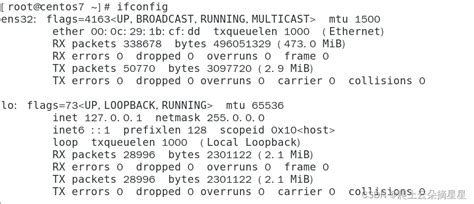 linux和windows的网络配置 linux 虚拟机 lan区段 csdn博客