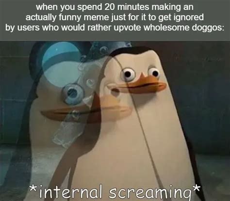 Really Really Funny Memes Funny