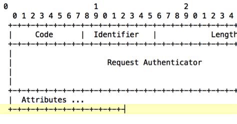 Programming For Beginners Radius Access Request Packet