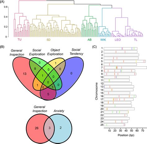 Genetic Clustering And Behavioral Associations A Hierarchical Download Scientific Diagram