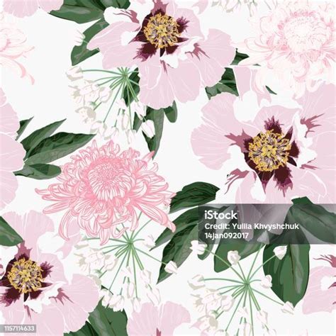 흰색 배경 템플릿에 아름다운 핑크 모란과 국화 꽃꽃 원활한 패턴 결혼식 초대장과 인사말 카드 디자인에 대한 꽃 꽃 세트 0명에 대한 스톡 벡터 아트 및 기타 이미지 Istock