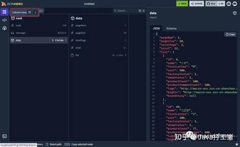 推荐两款颜值很不错的JSON可视化工具可以优雅地展示JSON数据从而提高开发效率 知乎