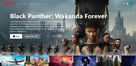 GitHub SashenJayathilaka NETFLIX Clone NETFLIX 2 0 With NEXT JS