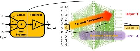 X Ray Imaging Meets Deep Learning