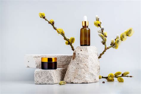 에센셜 오일을위한 피펫과 회색 배경에 꽃이 피는 버드 나무의 돌과 나뭇 가지로 만든 연단에 크림 항아리가있는 병 강단에 대한 스톡 사진 및 기타 이미지 Istock