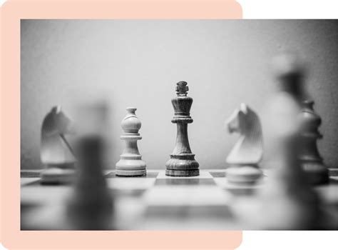 Digital Strategy Services Echidna Agency