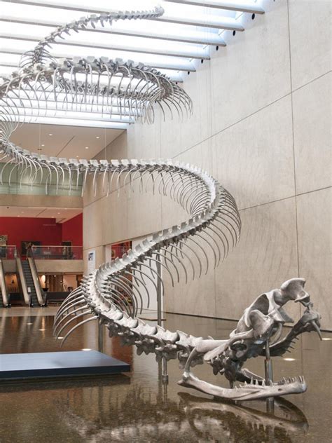 Huang Yong Pings Controversial Theater Of The World Public Delivery