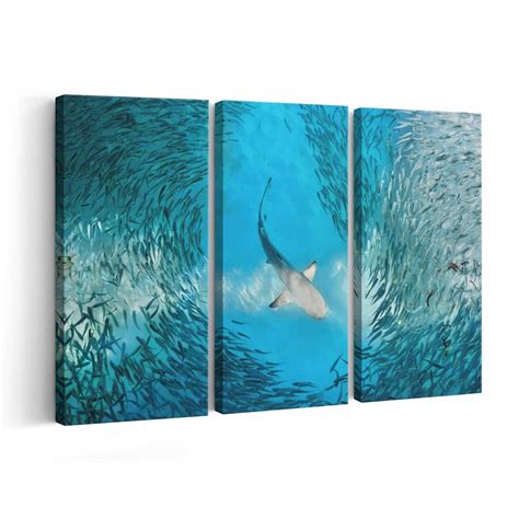 Shark Canvas Print Shark Wall Art Shark Poster Shark Home Decor Shark