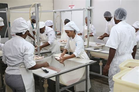 FIN FISH HANDLING AND PROCESSING MODULE 101 Caribbean Fisheries Training And Development