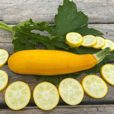 Courgette Jaune Biologique La Boite à Grains
