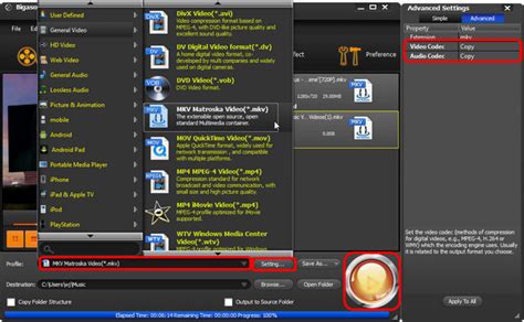 easily remove audio track from mkv without conversion using bigasoft total video converter