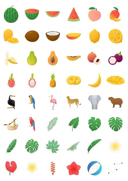 Premium Vector Set Of Summer Objects Vector Illustration