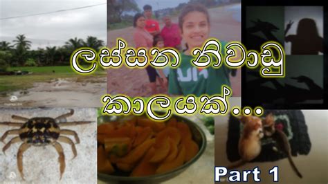 නිවාඩු කාලේ ආච්චිඅම්මගේ ගෙදර ගියා මුහුදු වෙර‍ළේ දවසක් ☺️🌊🍃 Youtube