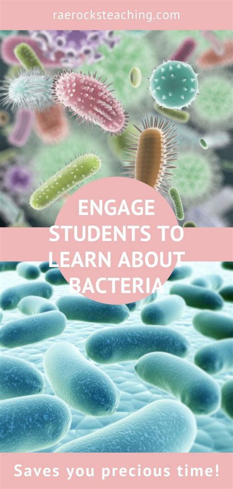 A Creative Way For Babes To Learn What Are The Effects Of Bacteria Bacteria Lesson Biology