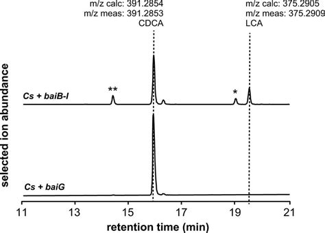 7α Dehydroxylation Of Cdca In Vivo Combined Eics Showing The Conversion