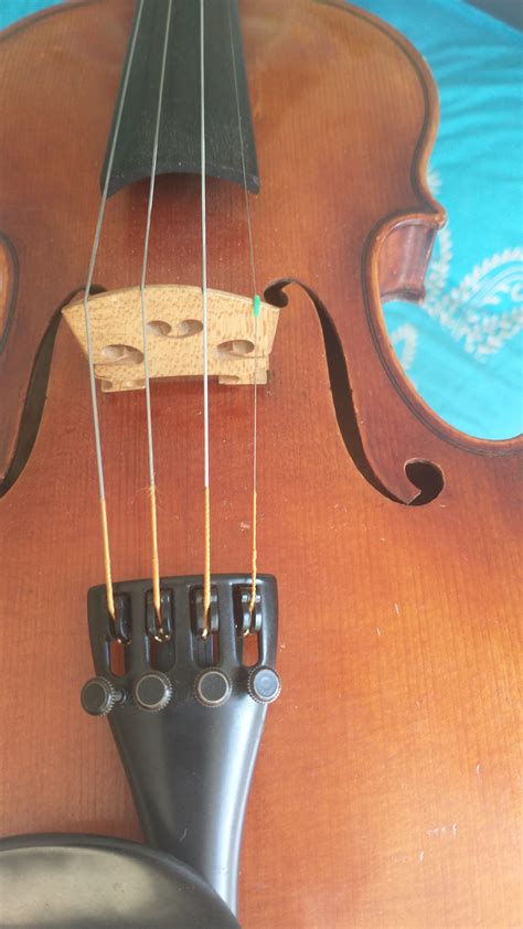 Does Anyone Recognize These Strings Rviolinist