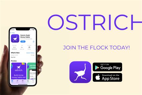 How I Launched An App Using No Code Tools Marketing Scoop