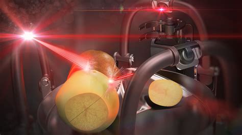 Tree Of Life Concept Behance