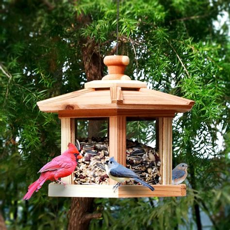 Different Types Of Bird Feeders What Works For You