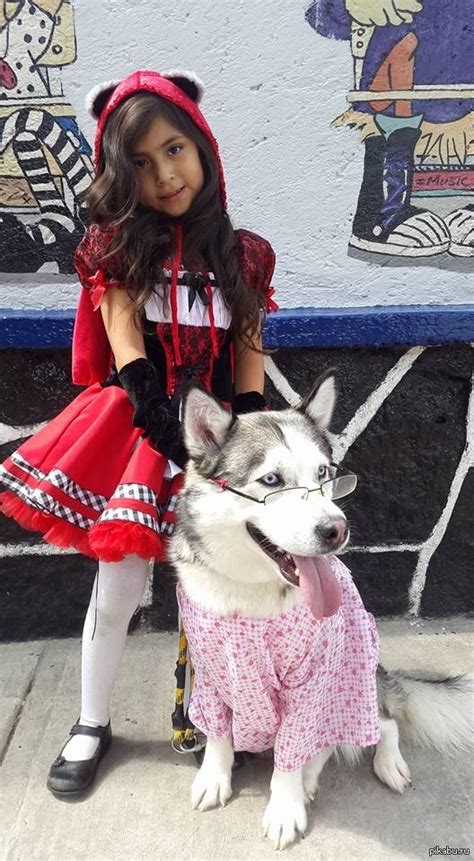 Красная шапочка и серый волк Пикабу