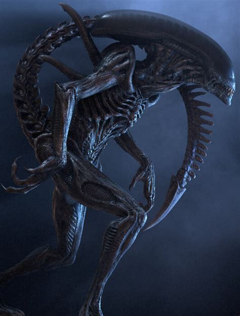 Artstation Alien Vs Predator